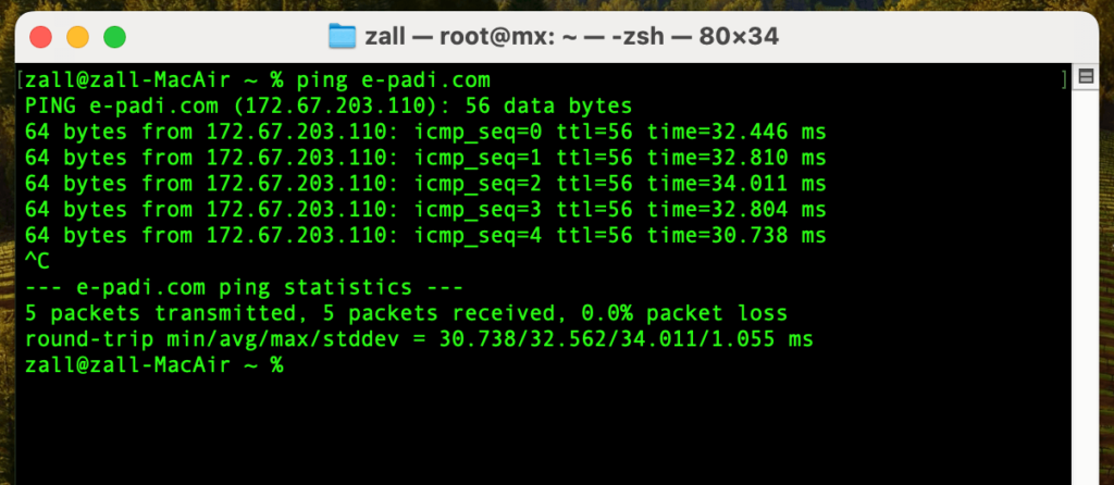 Cara Ping Website : Panduan Lengkap untuk Pemula - e-Padi Helps